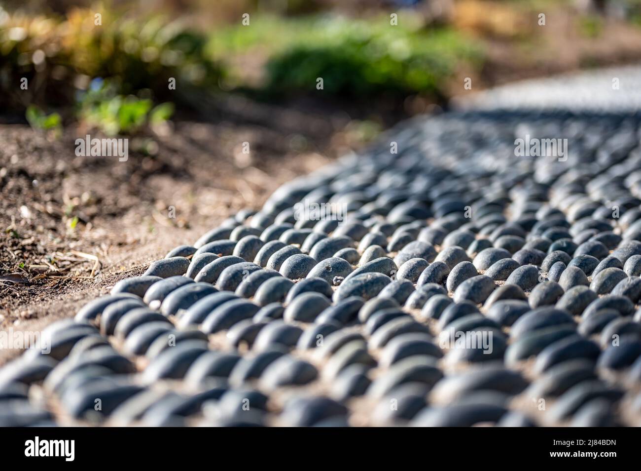Selective focus on decorative pattern of river rocks laid in garden ...