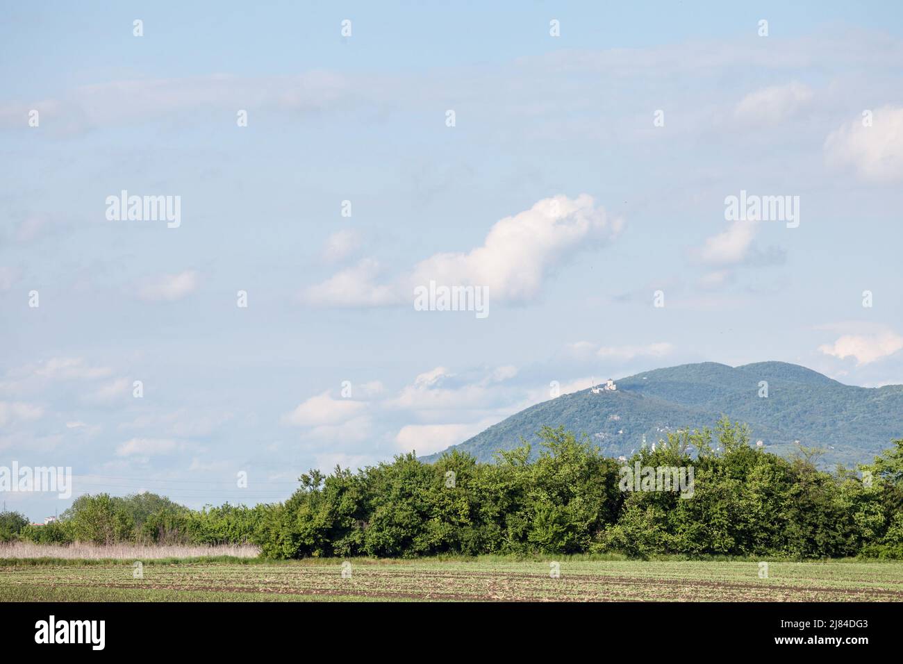Picture of the Vrsacki Breg seen from afar with the castle of vrsacka ...