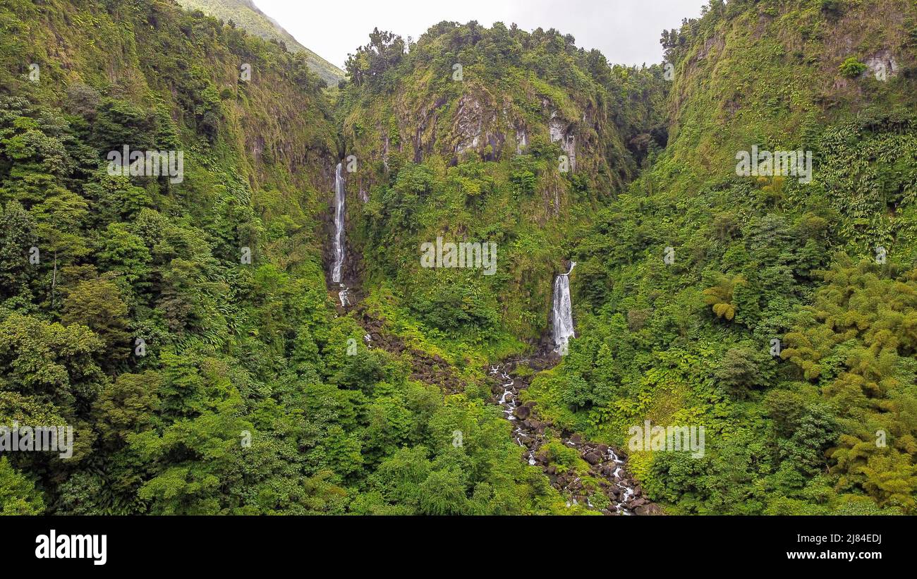 Dominica's Trafalgar Falls Stock Photo - Alamy