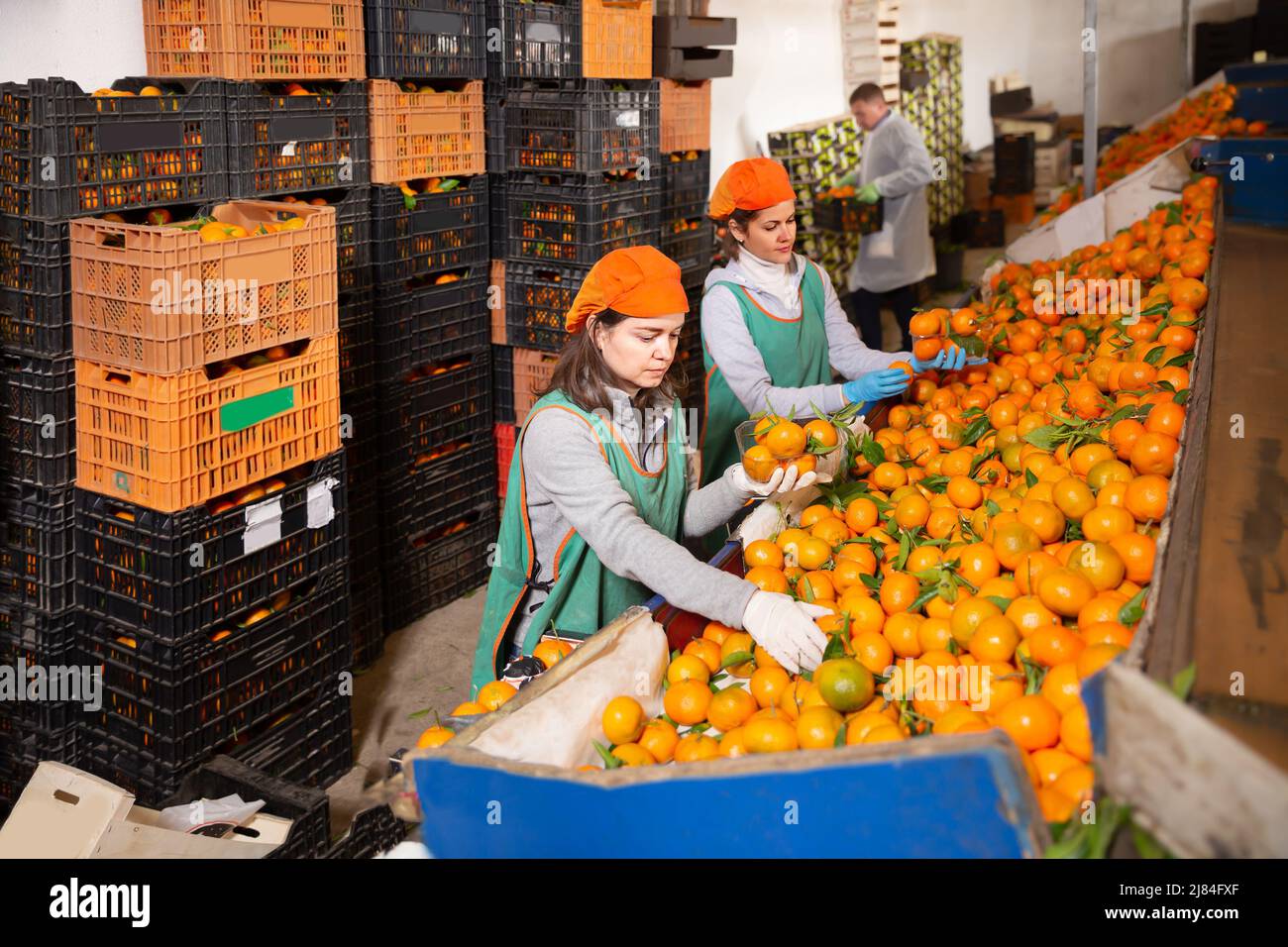 Ordinary workplace hi-res stock photography and images - Alamy