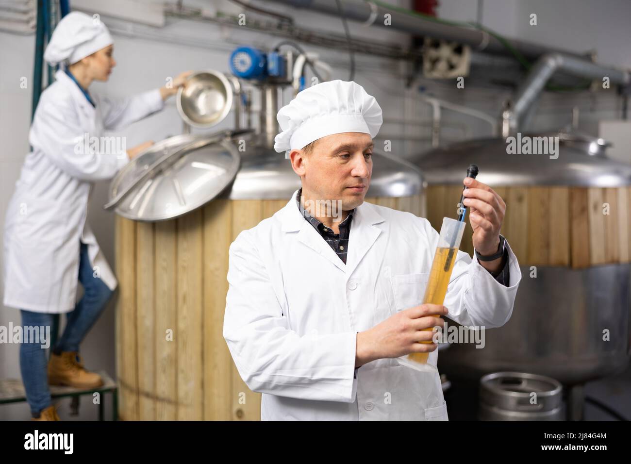 Brewmaster measuring beer density with digital hydrometer in brewery ...