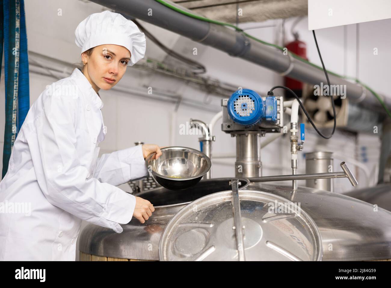 Female brewmaster pouring hop pellets from bowl into fermenter Stock ...