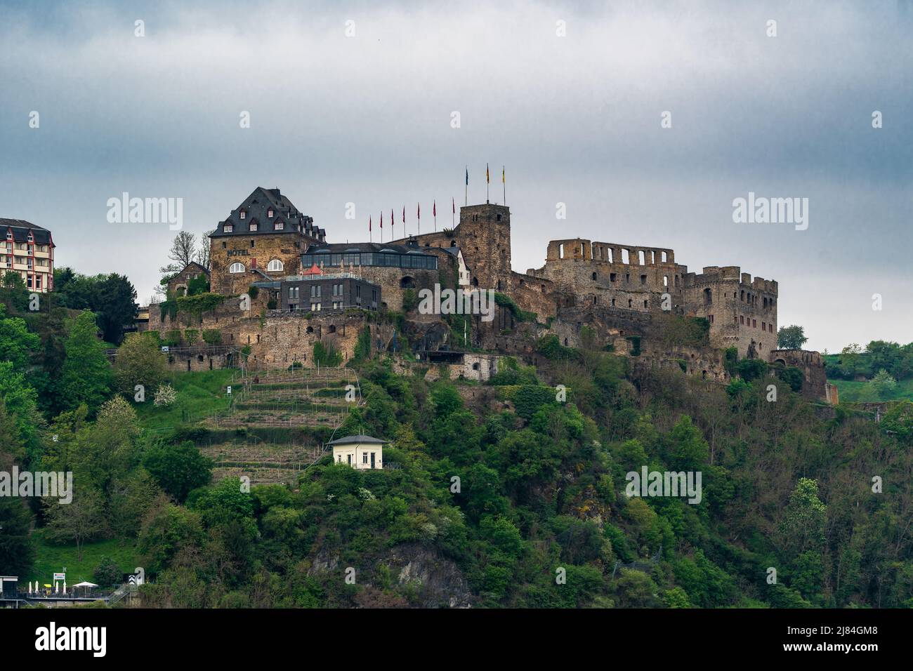 Rheinfels Castle Ruins on the Middle Rhine in Germany Stock Photo - Alamy