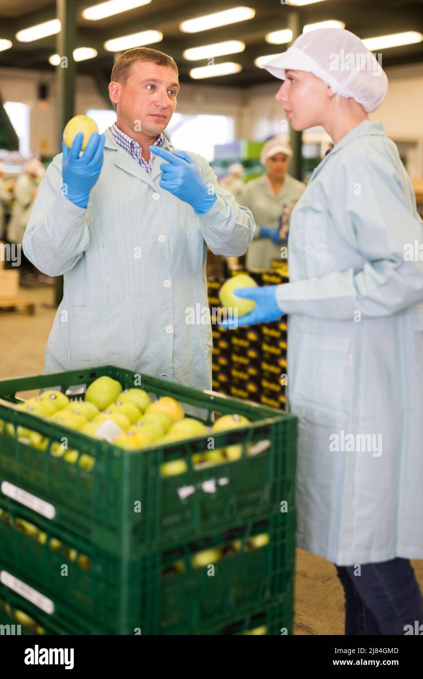 Sorting apples hi-res stock photography and images - Alamy