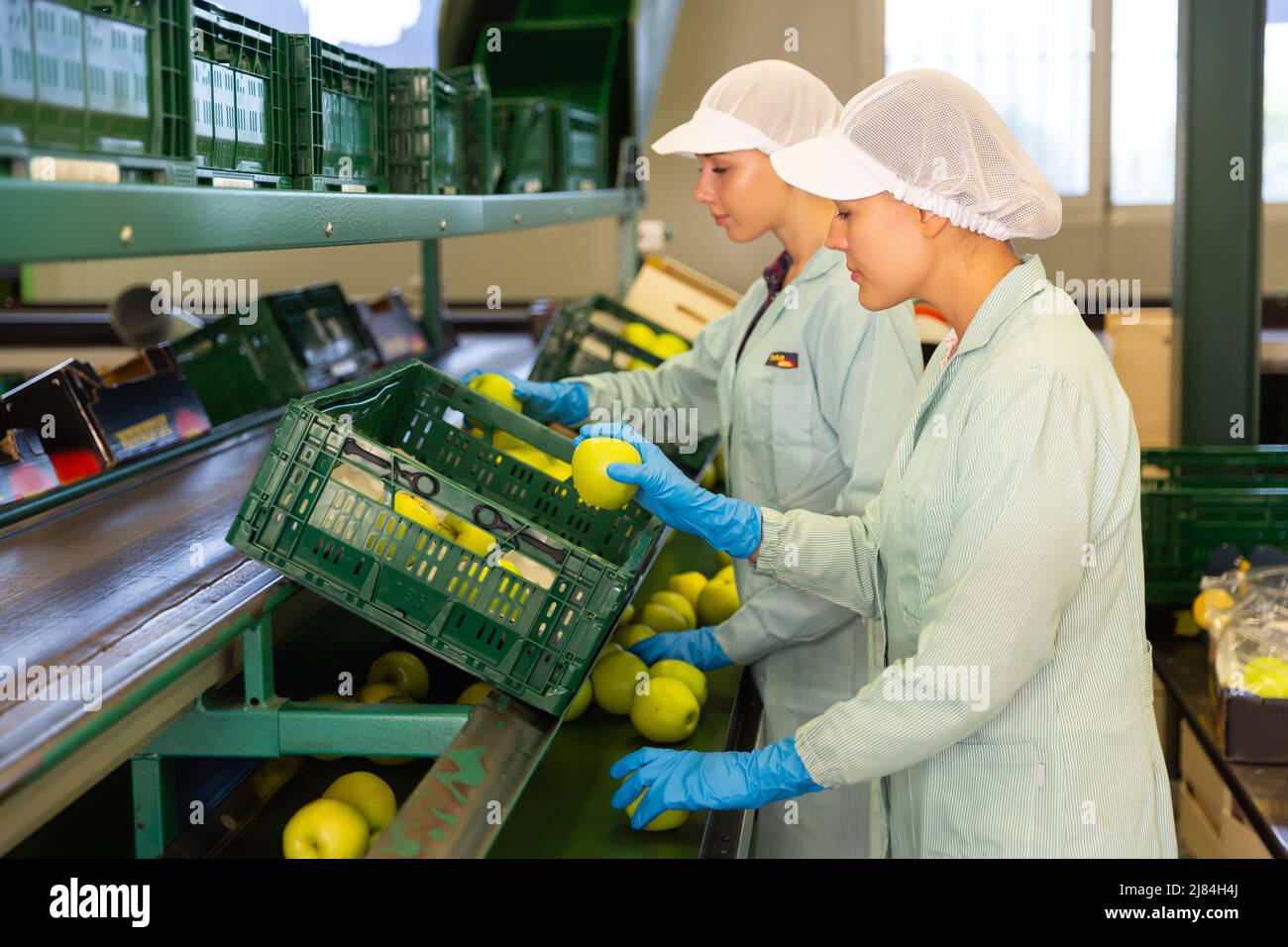 Sorting technique hi-res stock photography and images - Alamy