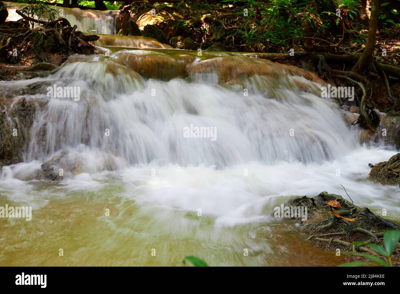 Forest water feature hi-res stock photography and images - Alamy