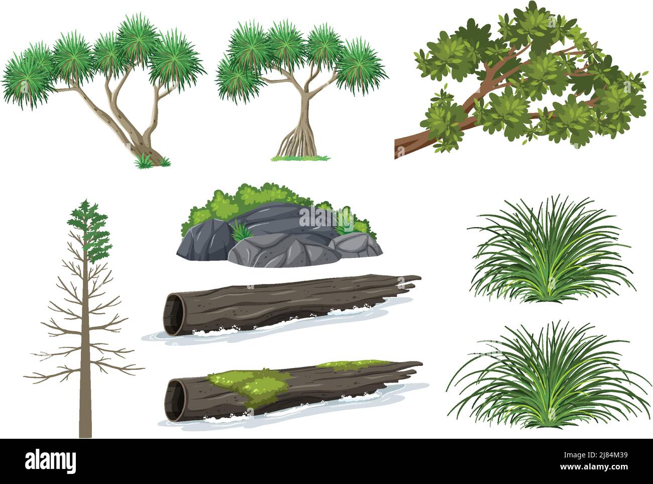 Isolated trees and nature objects set illustration Stock Vector Image ...