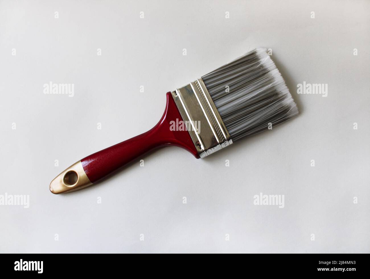 Common paintbrush hi-res stock photography and images - Alamy