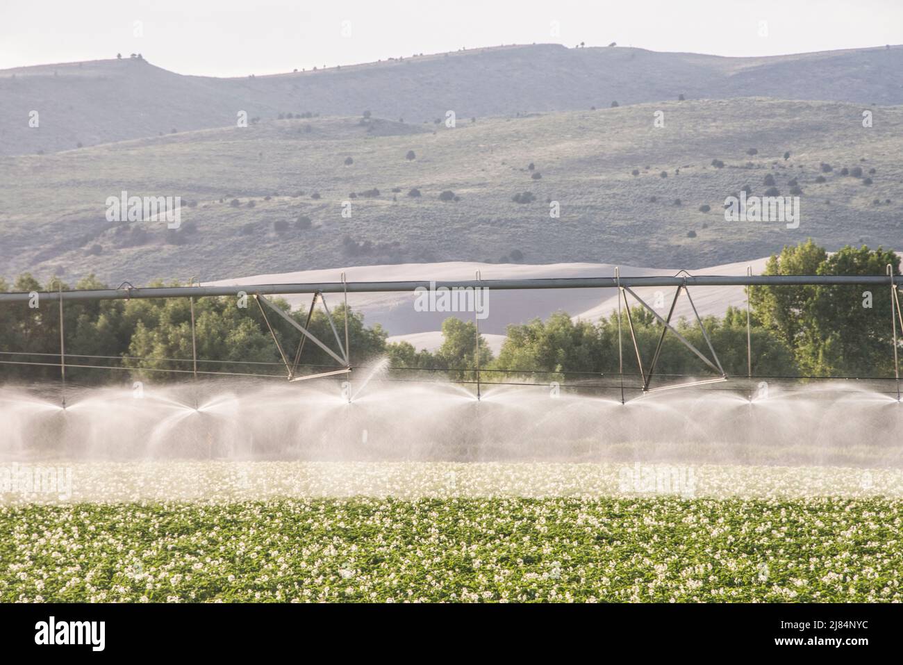 Egin bench hi-res stock photography and images - Alamy