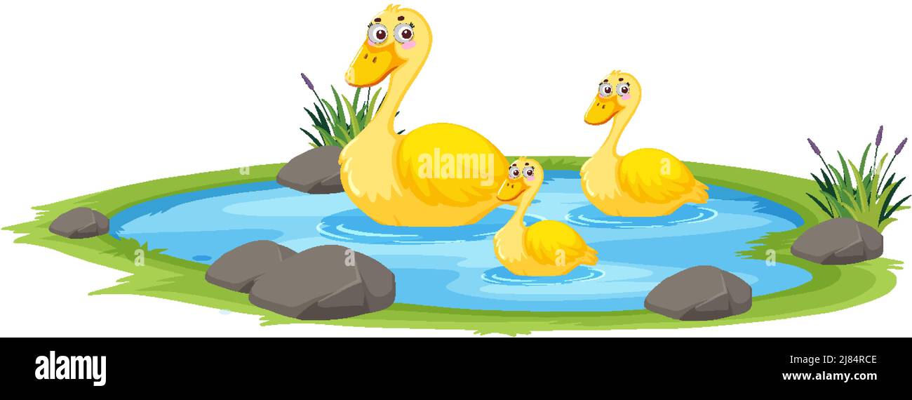 Duck in the pond on white background illustration Stock Vector Image & Art - Alamy