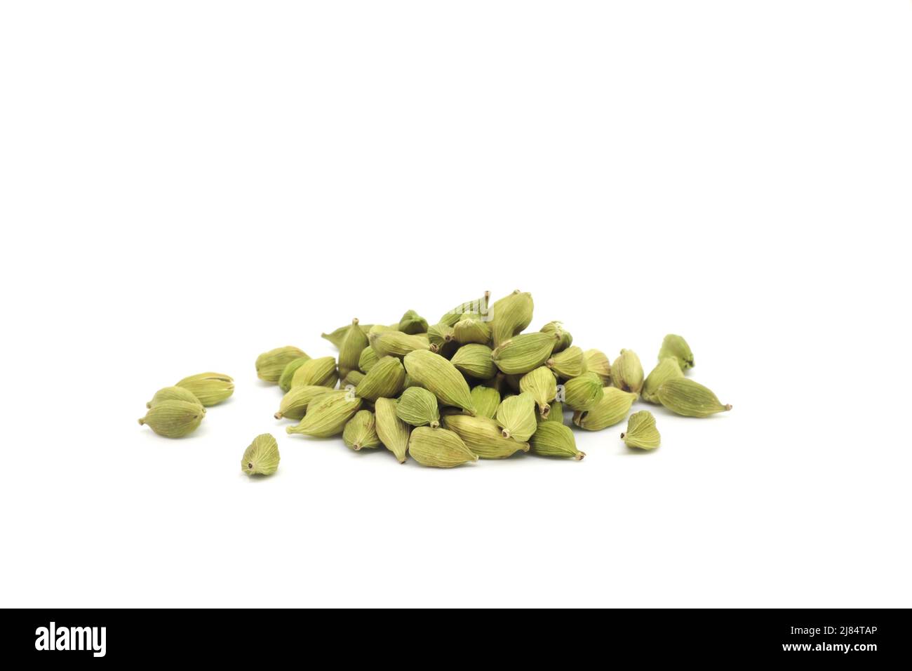 Cardamon plant Cut Out Stock Images & Pictures - Alamy