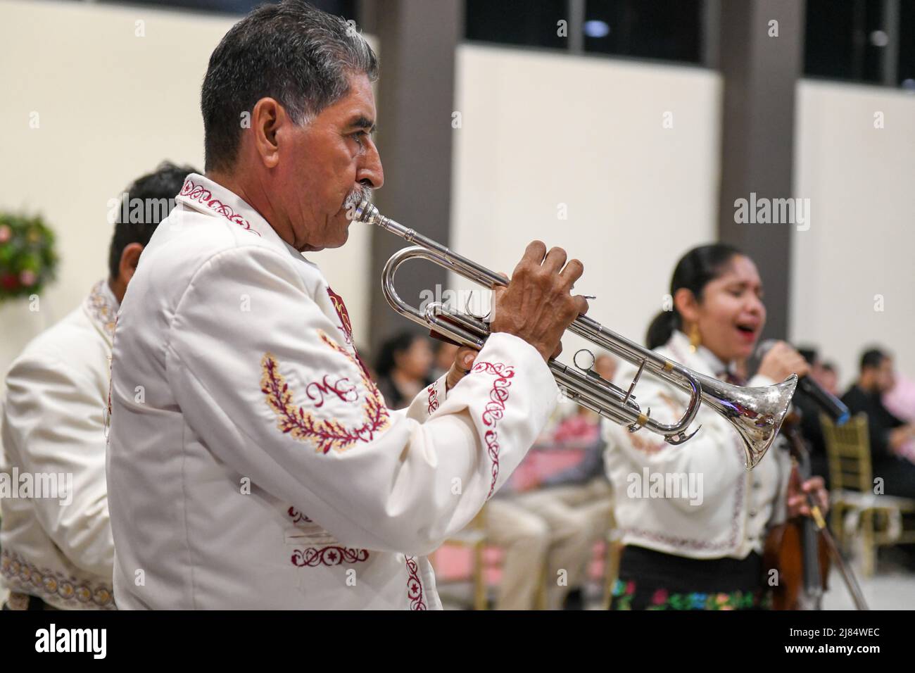 Mariachi band, Campeche, Mexico Stock Photo - Alamy