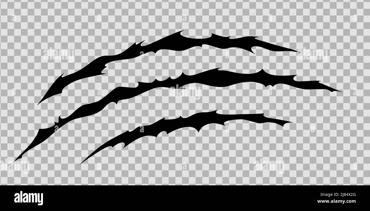 Claw scratches of wild animal. Cat scratches marks isolated in ...