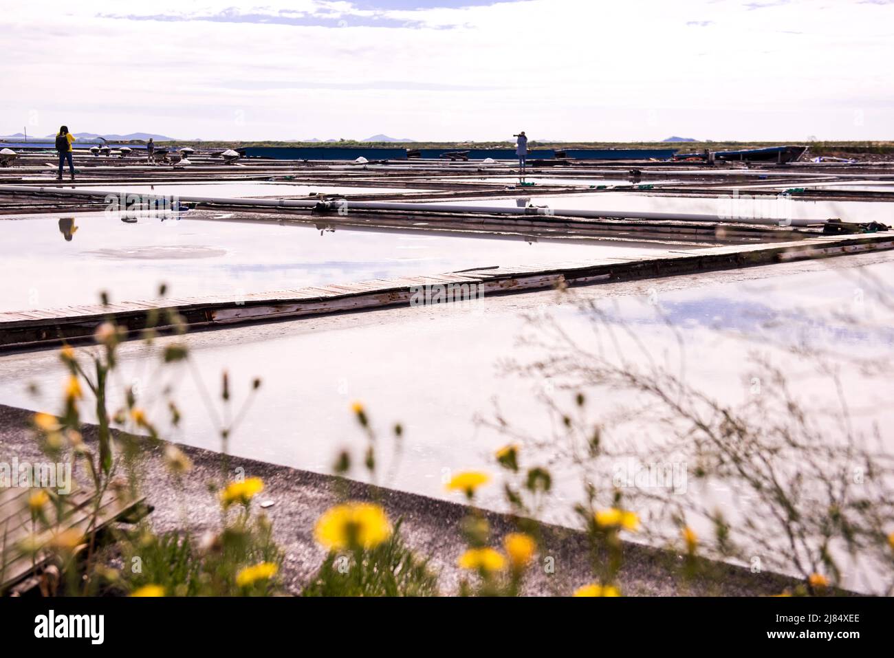 The panoramic of salt evaporation pond Stock Photo - Alamy