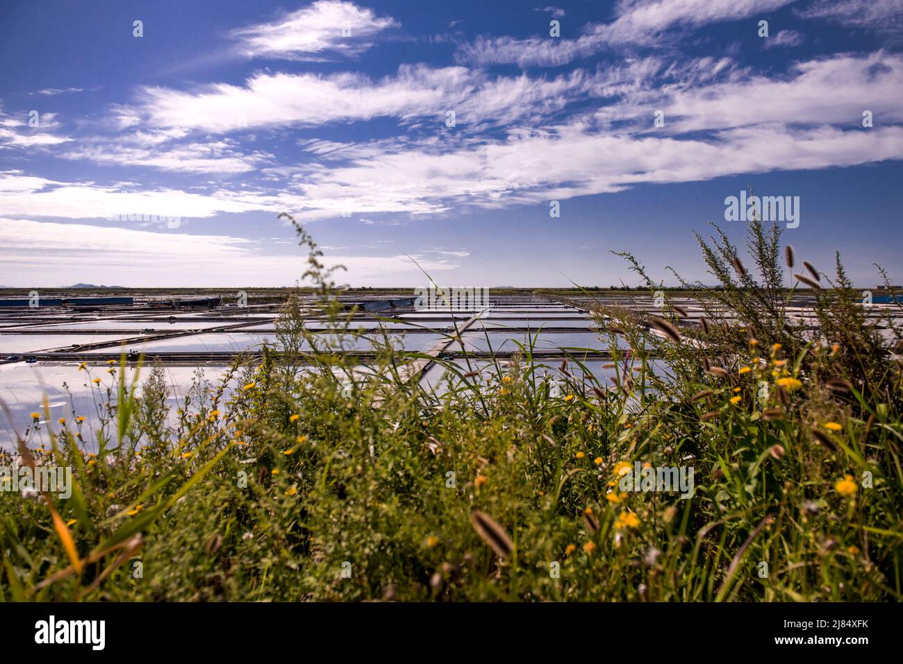 Panoramic salt evaporation pond hi-res stock photography and images - Alamy