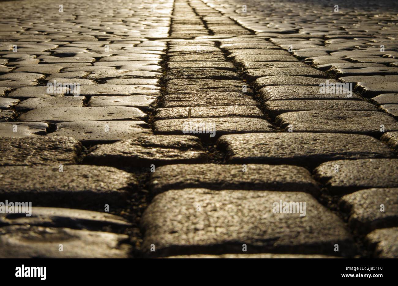 low angle shot of cobblestone street with very shallow depth of field ...