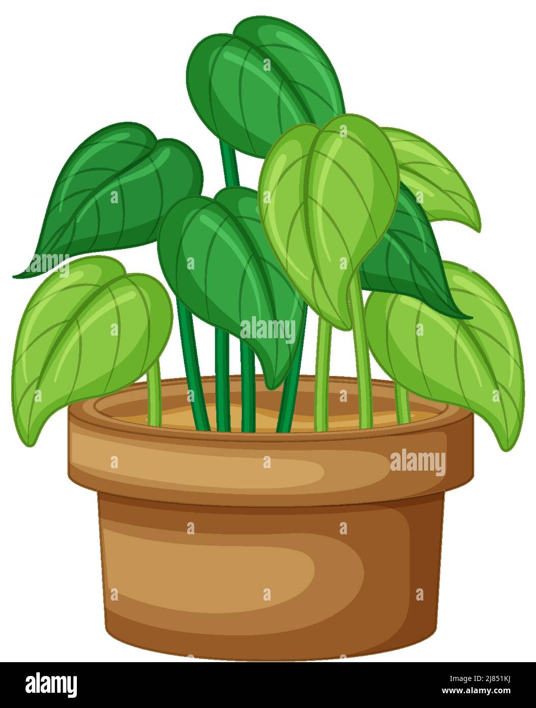 Plant in a pot in cartoon illustration Stock Vector Image & Art - Alamy