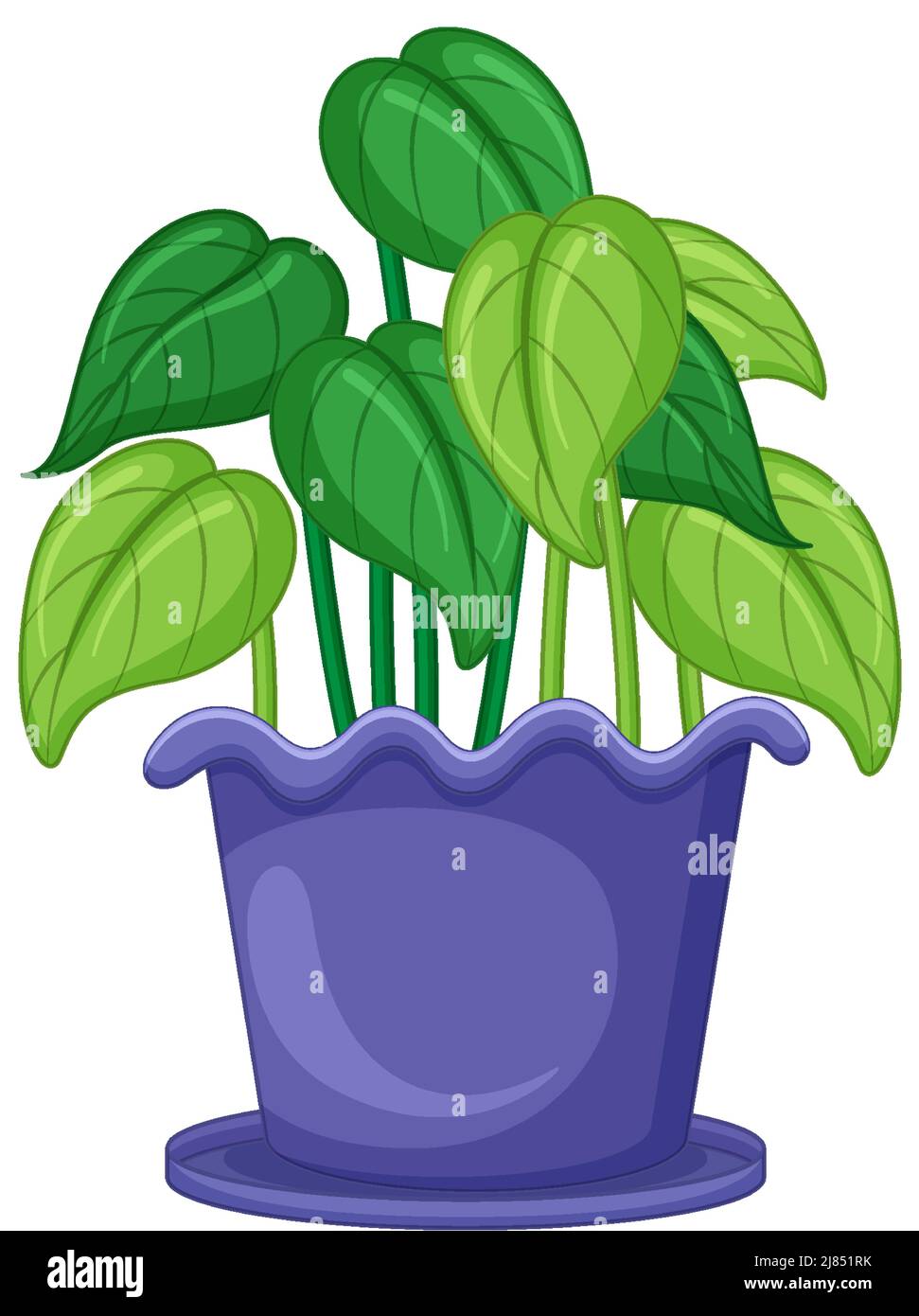 Plant in a pot in cartoon illustration Stock Vector Image & Art - Alamy