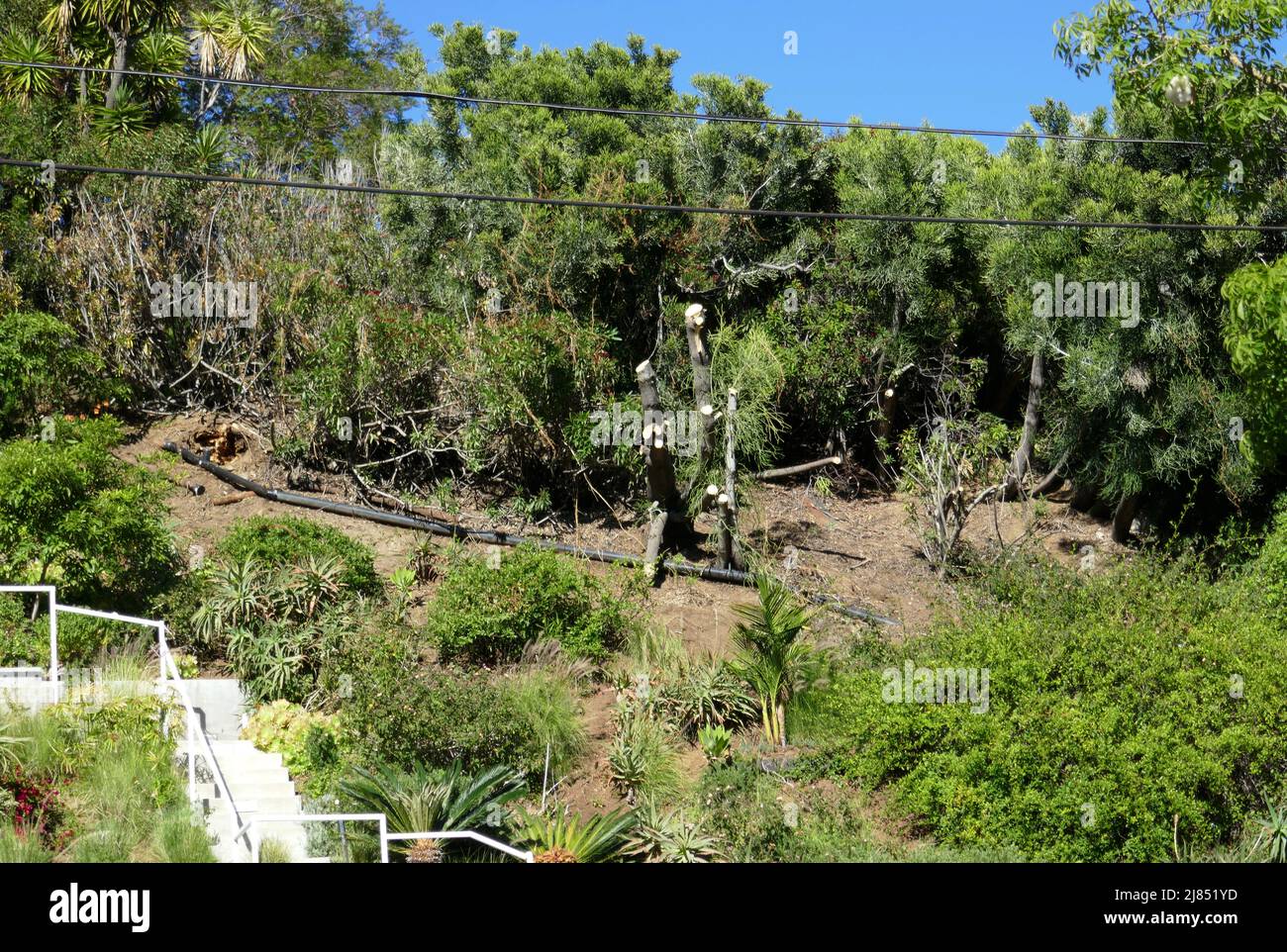 Los Angeles, California, USA 12th May 2022 A general view of atmosphere ...