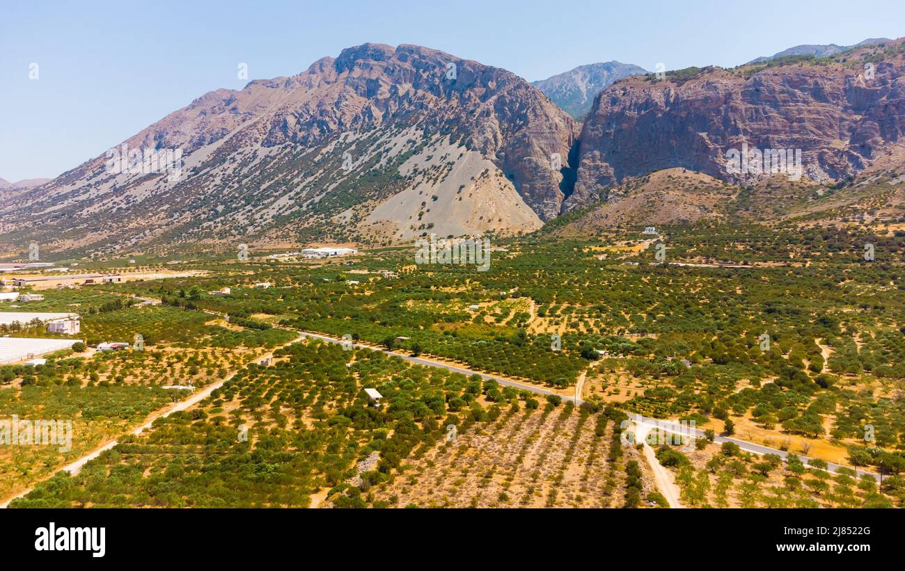 White mount lefka ori hi-res stock photography and images - Alamy