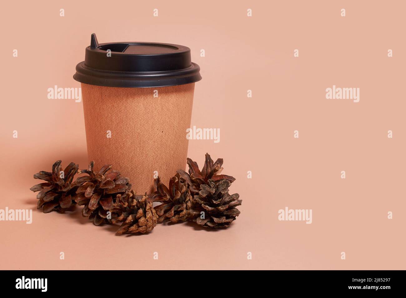 Mockup. A paper cup of coffee and a pine cones on a colored background ...