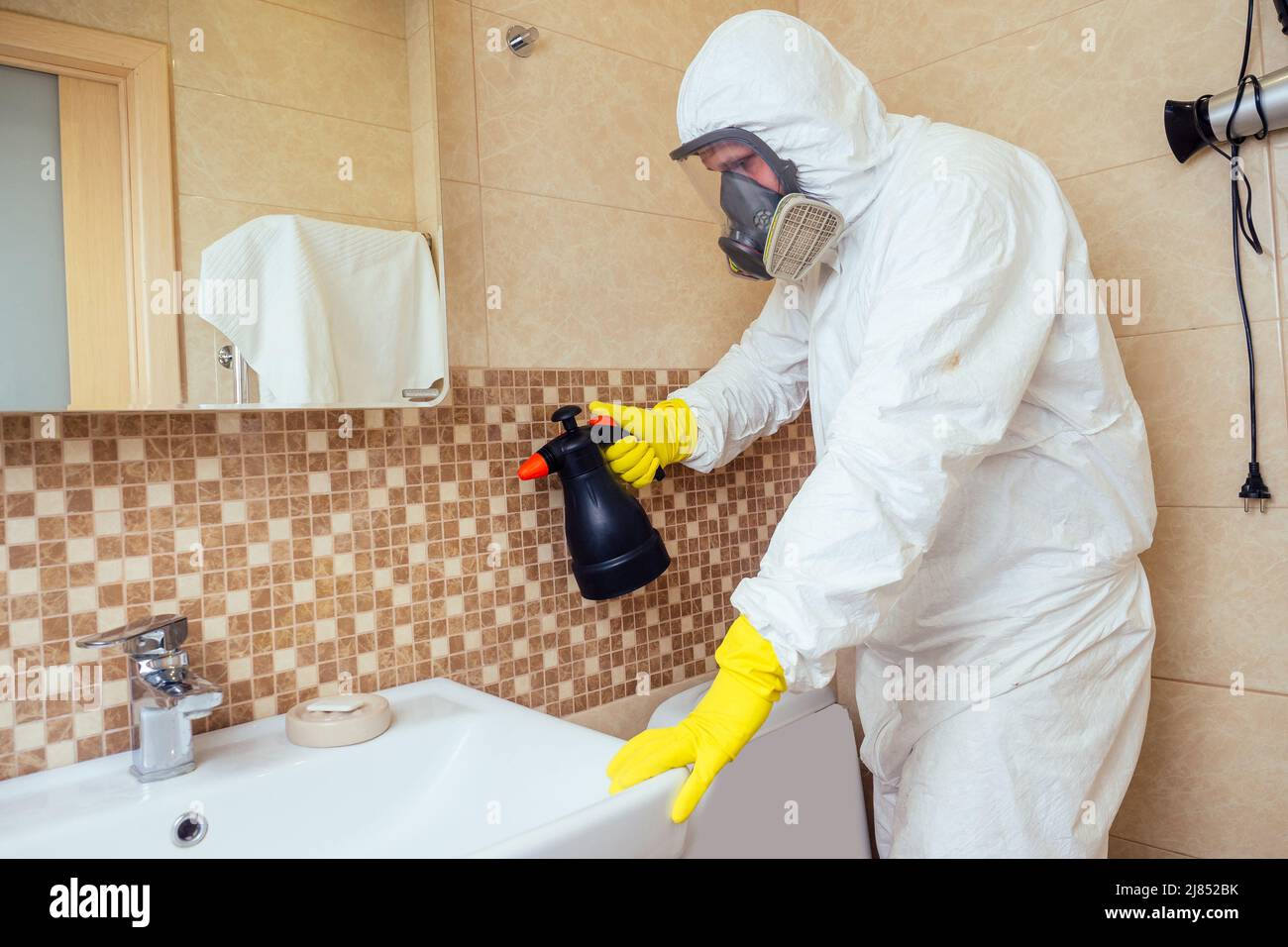 pest control worker spraying pesticides with sprayer in bathroom ...