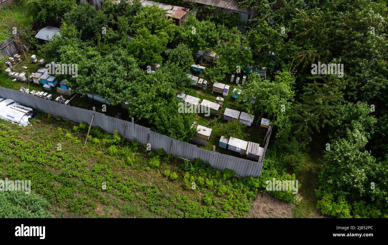 Bee hives near the house in the village Stock Photo - Alamy