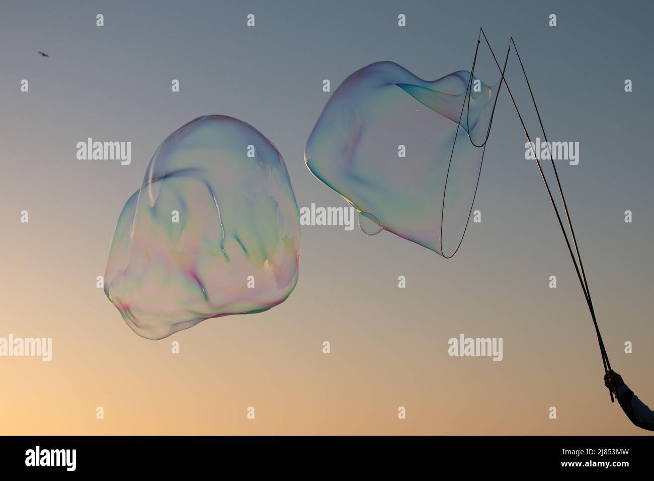 Giant soap bubble. Flying soap bubbles on sky blue background at sunset ...