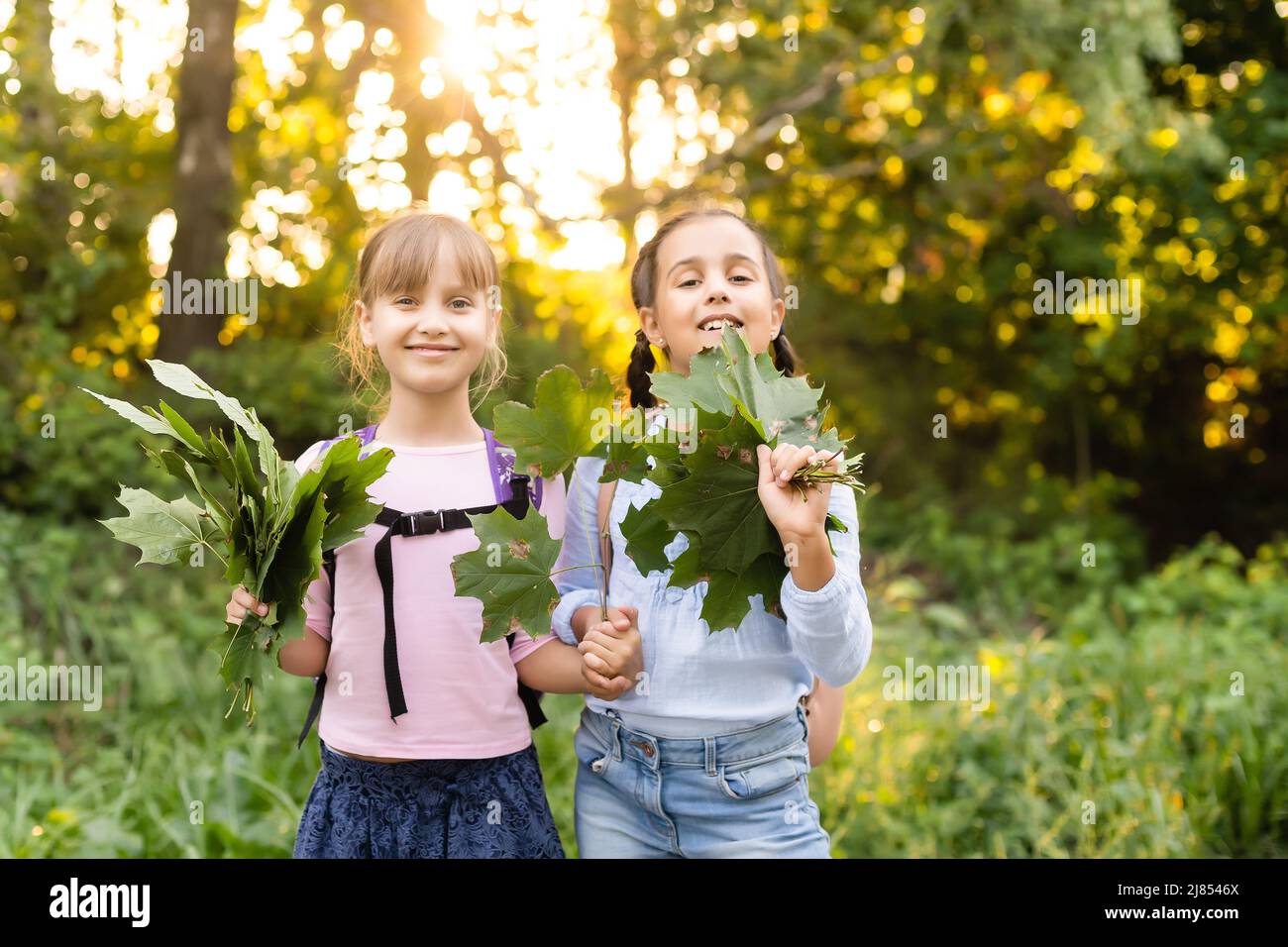 Two cute smiling 8 years old girls posing together in a park on a sunny ...