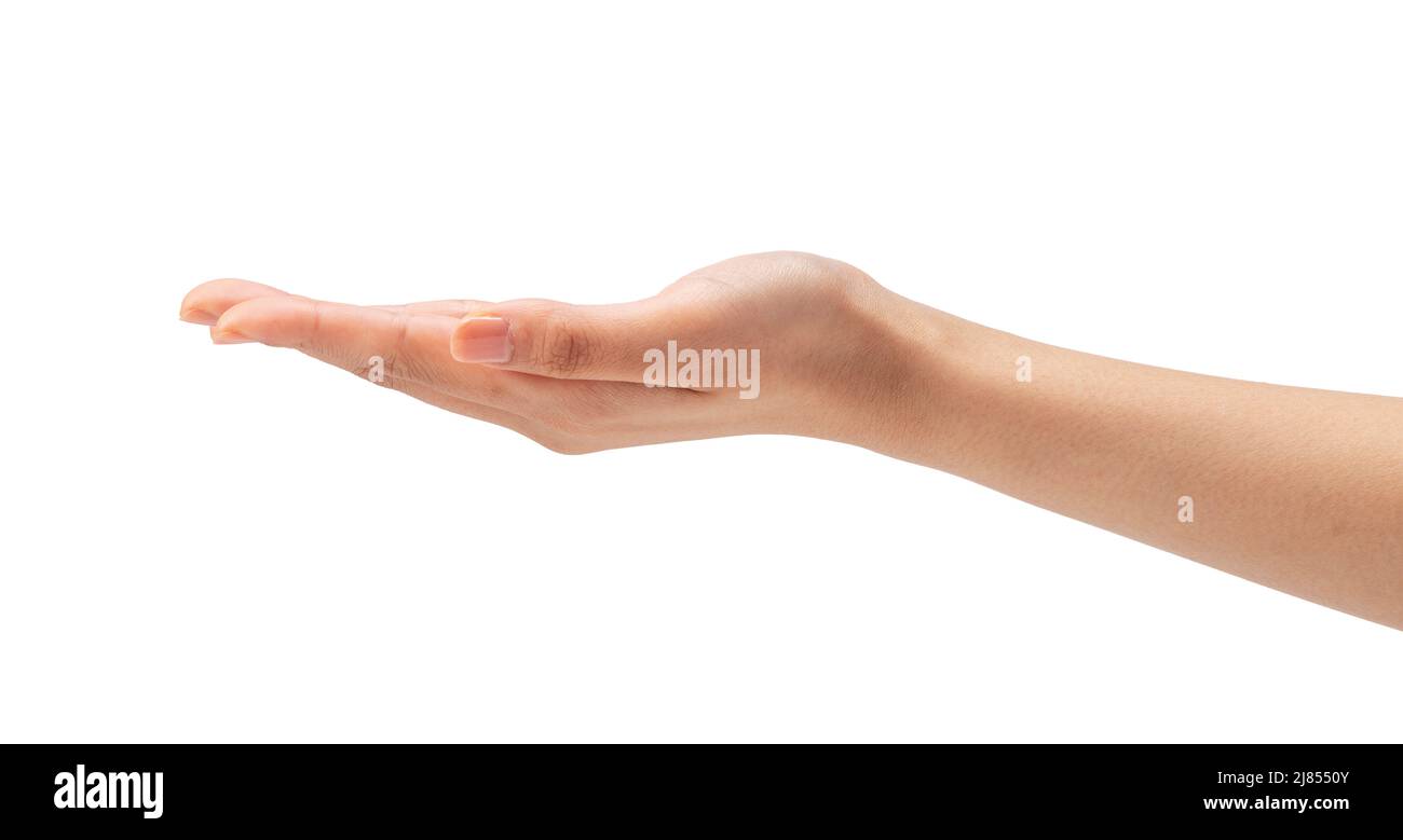 Female hand with palm facing up on white background. Gesture, empty ...