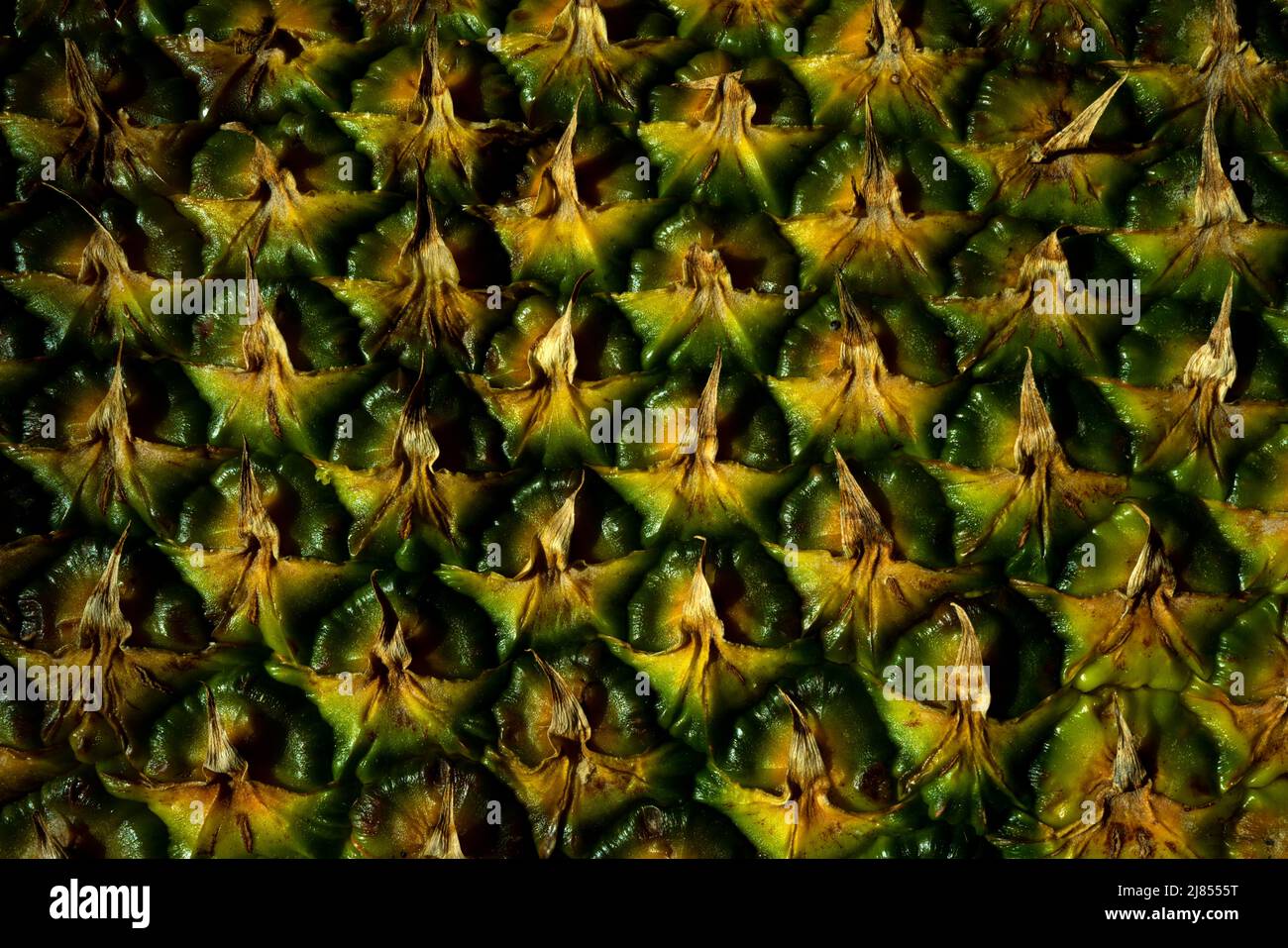 Pineapple pattern. Texture of pineapple skin. Patterned fruits ...