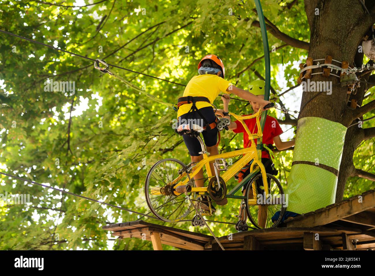 Happy child climbing in the trees. Rope park. Climber child. Early ...