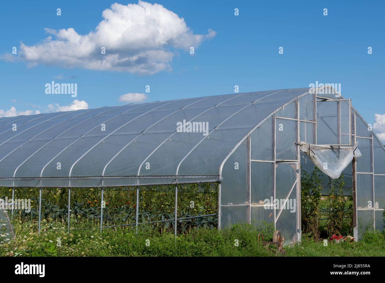 Side view of a greenhouse in a grassy field under a big blue sky with ...