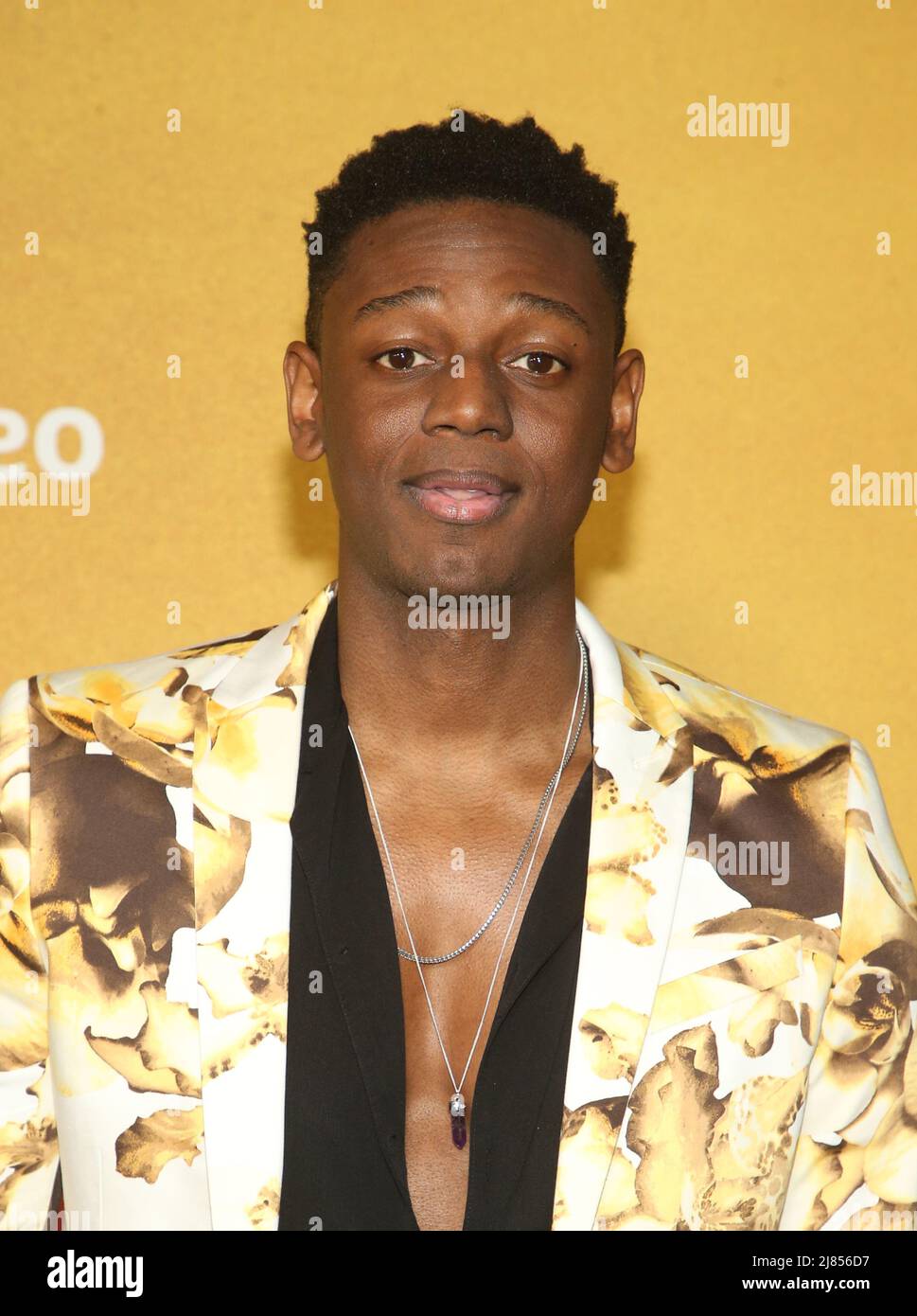 Donald Watkins Actor