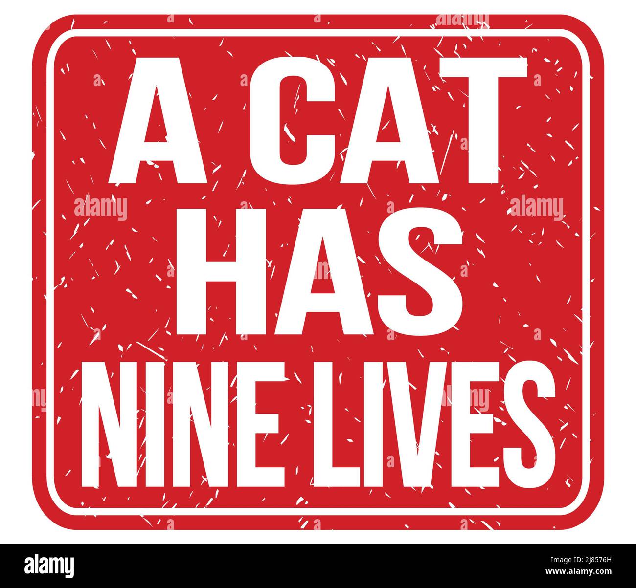 A CAT HAS NINE LIVES, text written on red vintage stamp sign Stock ...