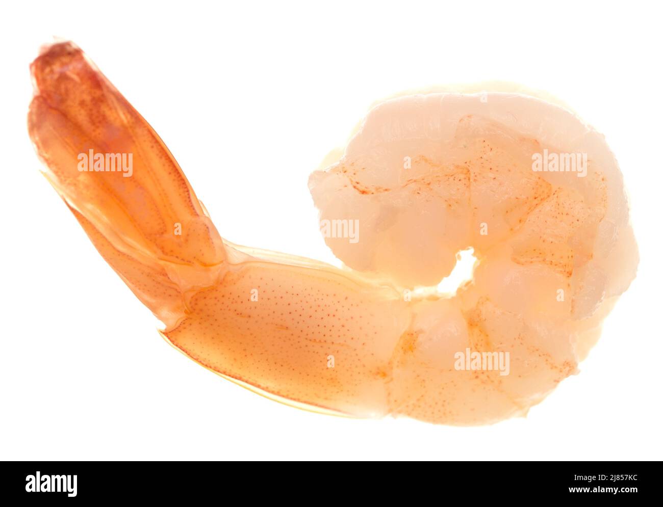 Shrimp isolated on white background Stock Photo - Alamy