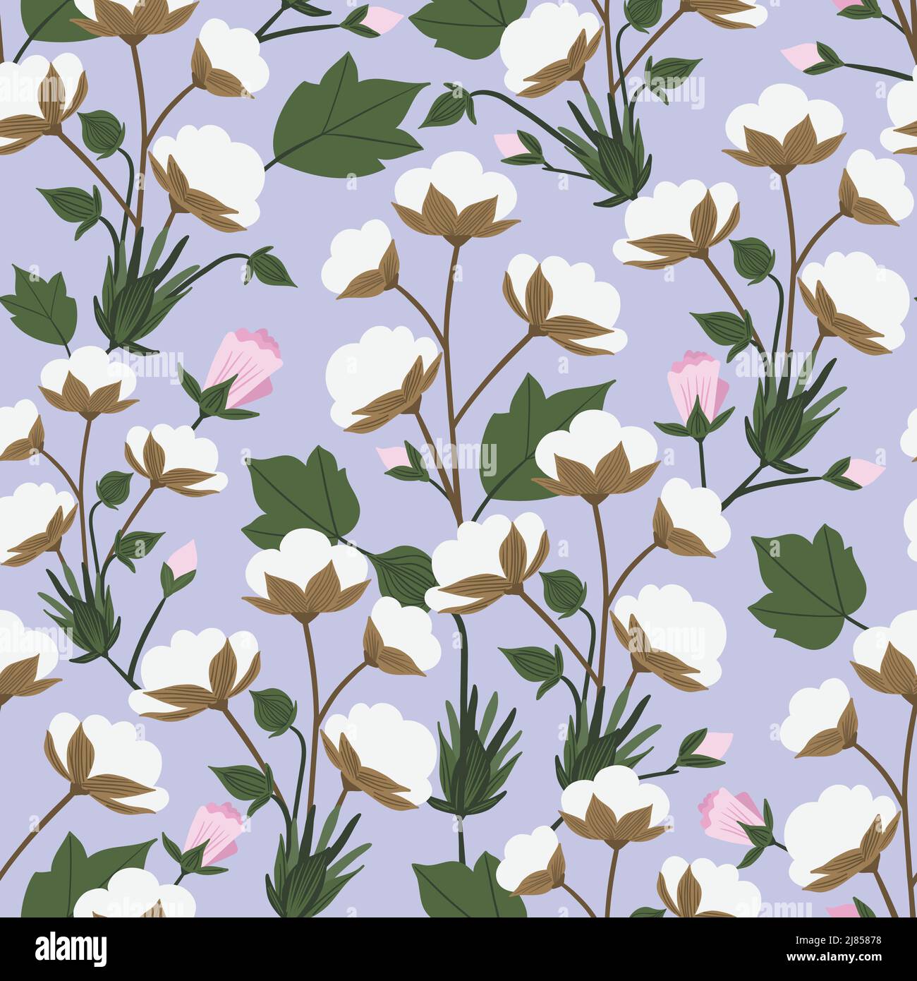 Cotton plant and flower seamless pattern on a purple background. Vector ...