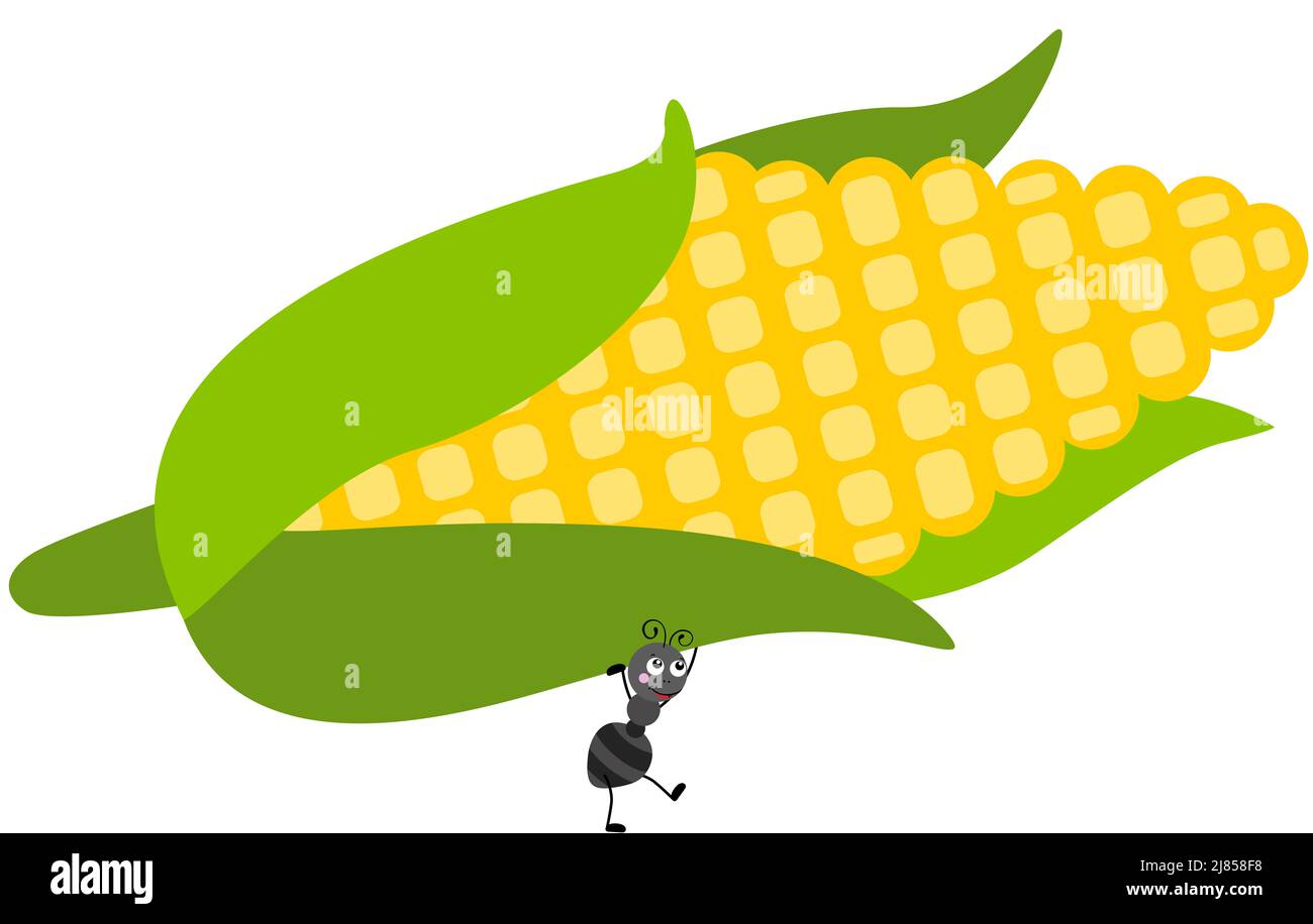 Cute ant carrying a fresh corn on the cob Stock Photo - Alamy