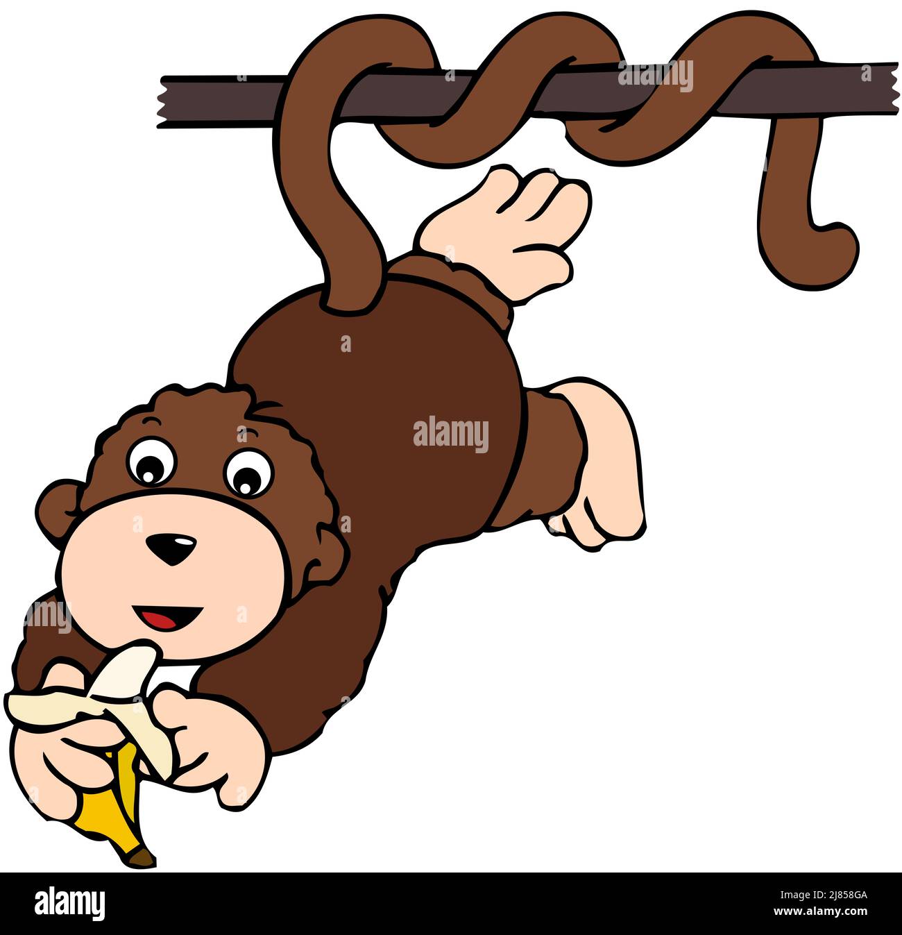 Happy monkey hi-res stock photography and images - Alamy