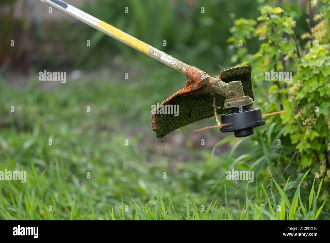 Farmer cutting grass with a scythe hi-res stock photography and images ...