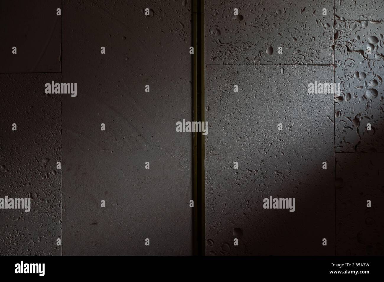 Wall tile sea shell abstract texture Stock Photo - Alamy