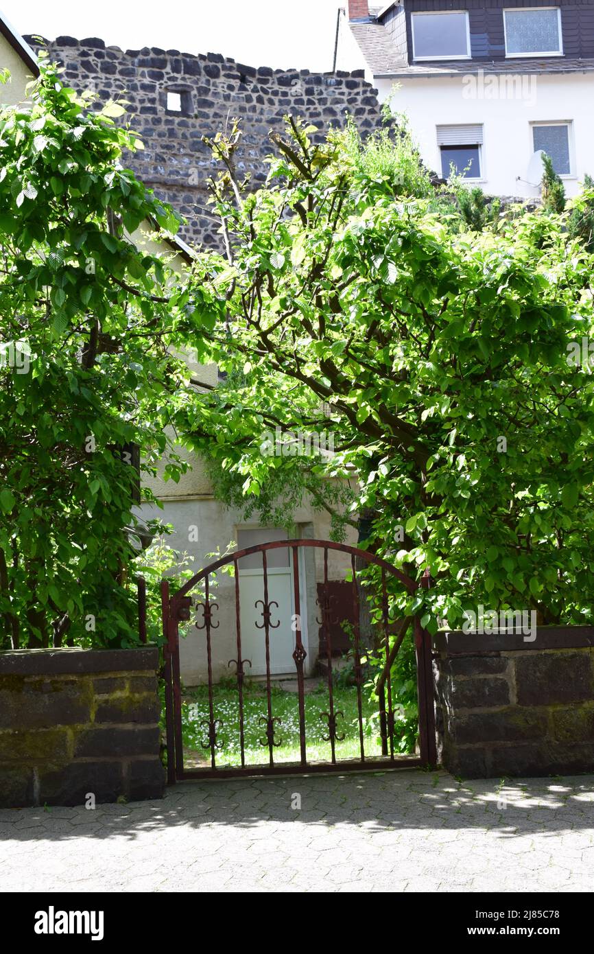 small gate to a garden behind walls Stock Photo - Alamy
