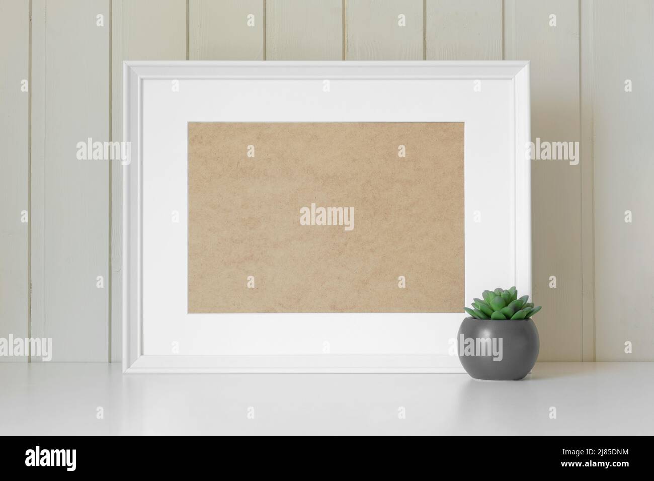 Empty picture frame with beautiful succulent plant. Modern ceramic vase ...