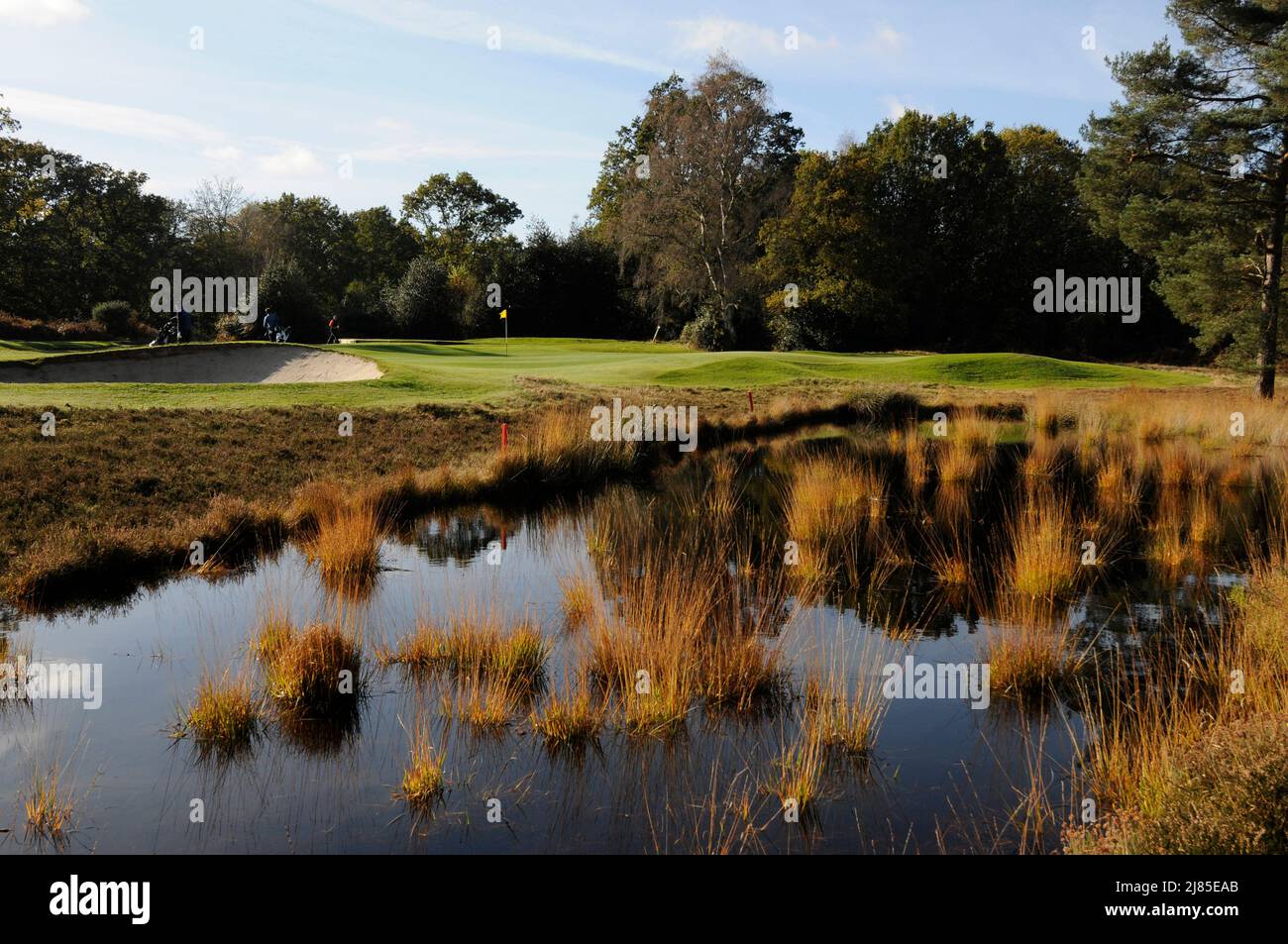 View over pond beside the 4th Green to the Green and Bunkers, Blackmoor ...