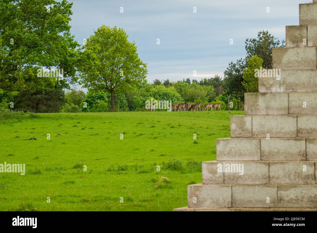 Sol lewitt pyramid hi-res stock photography and images - Alamy