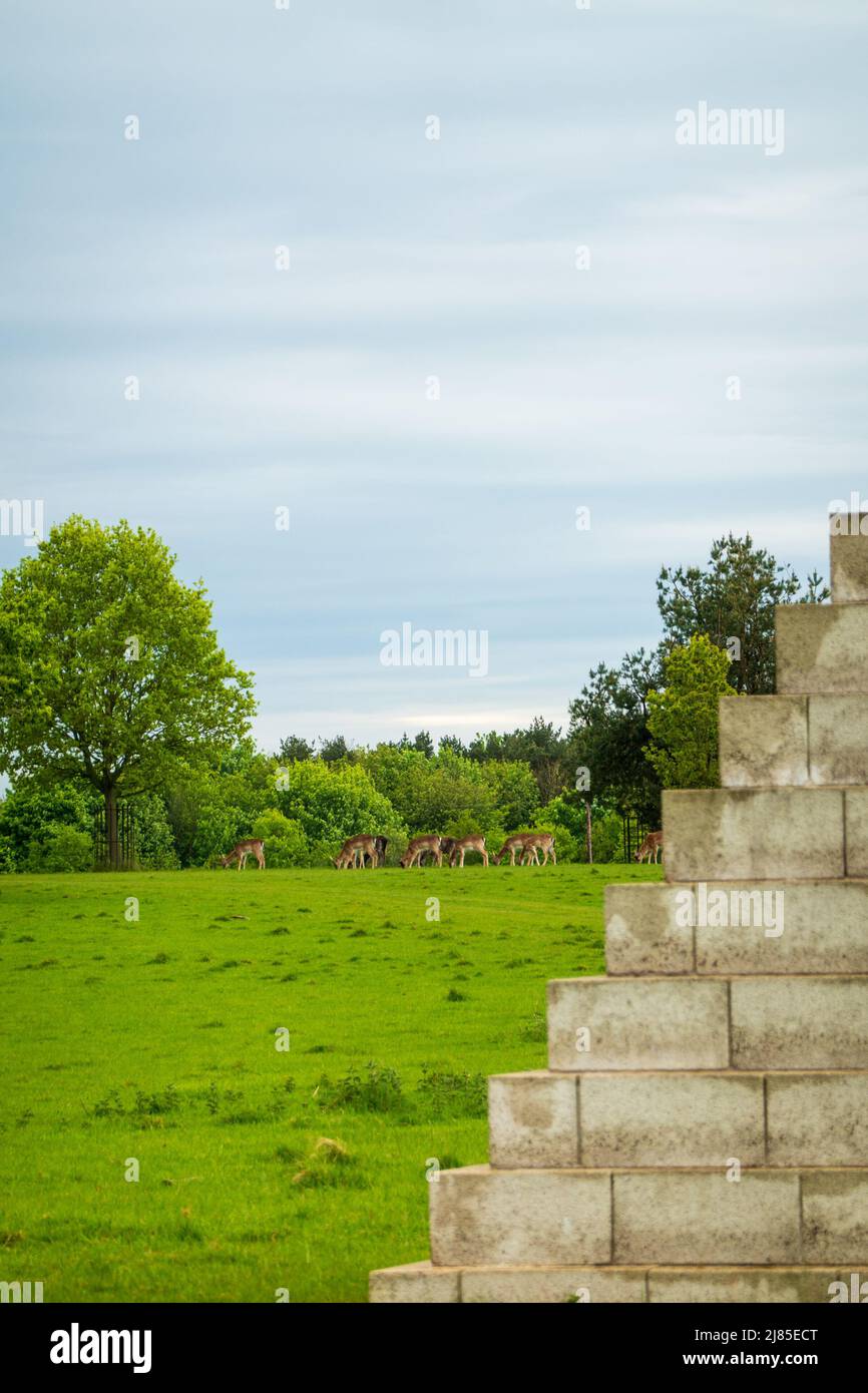 Gunton pyramid hi-res stock photography and images - Alamy