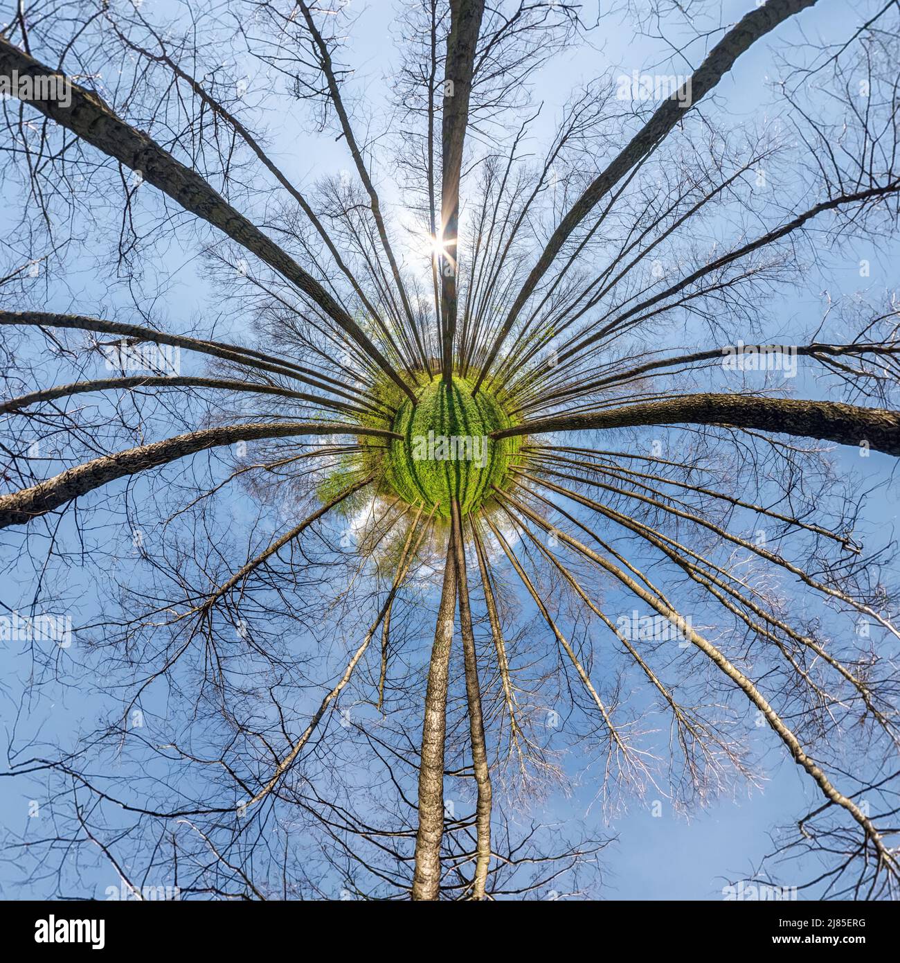 spring tiny planet transformation of spherical panorama 360 degrees ...