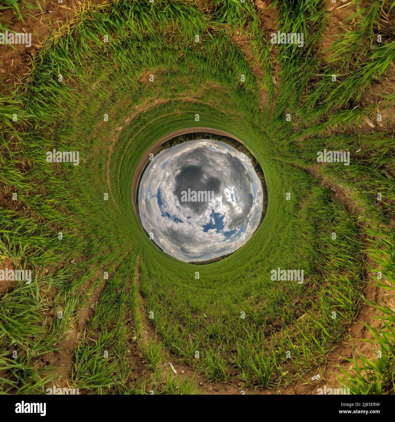 blue sphere little planet inside green grass round frame background ...