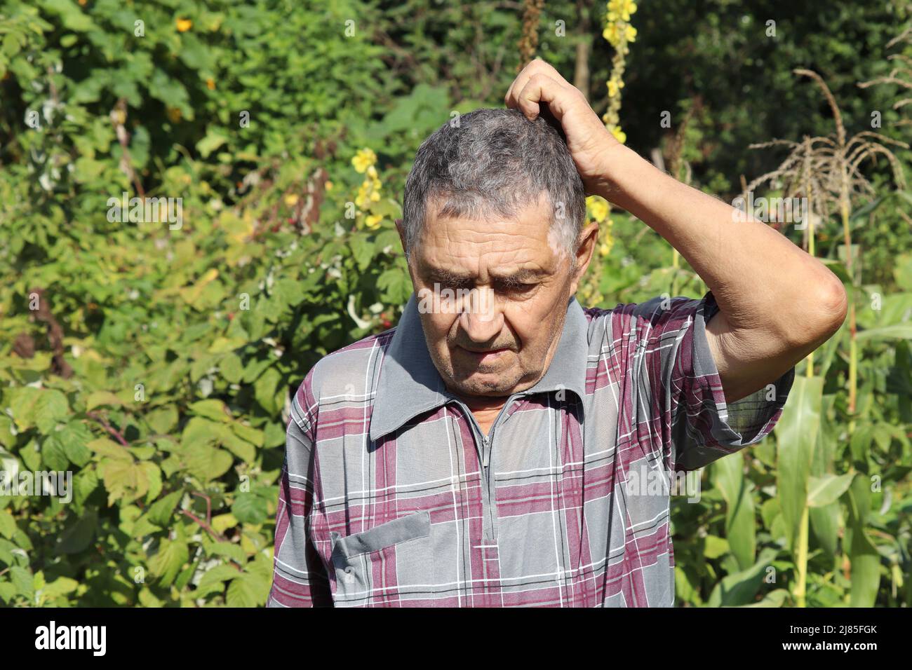 Portrait of elderly man scratches his head standing in summer garden ...