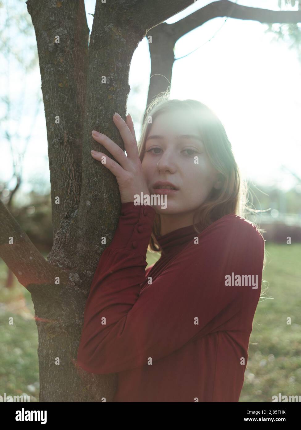 Long hair closeup backlight hi-res stock photography and images - Alamy